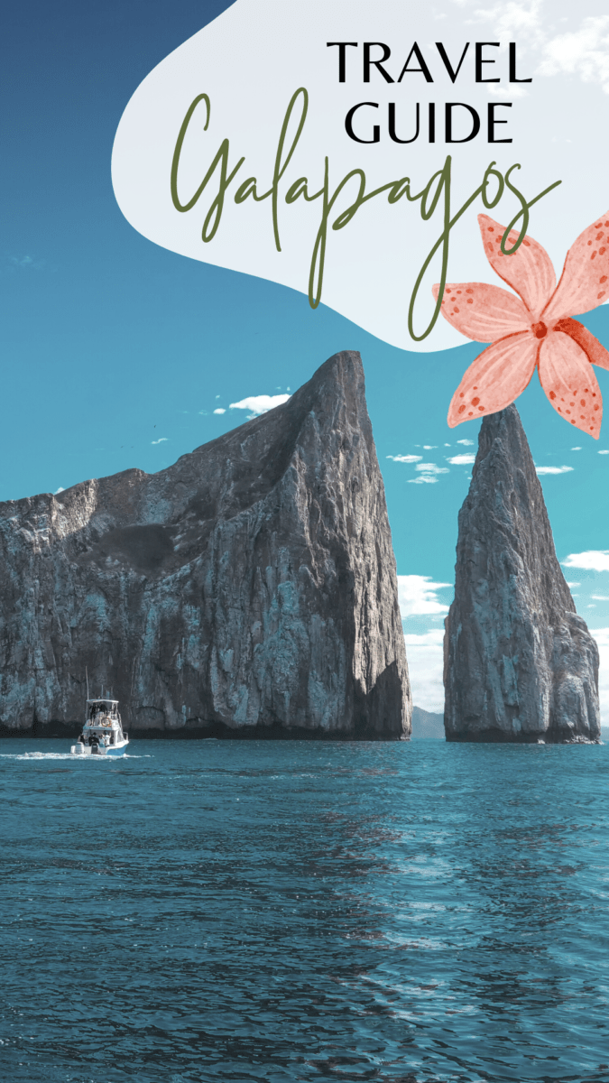 The Galapagos Islands Travel Guide - The Boho Traveller LLC