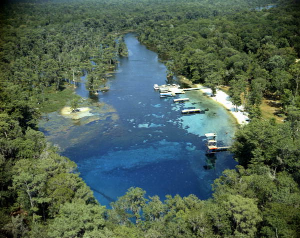 5 Places to Cool Off in North Florida - The Boho Traveller LLC