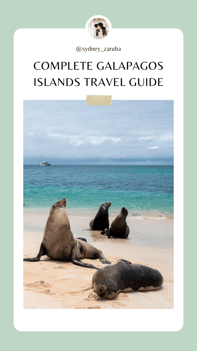 The Galapagos Islands Travel Guide - The Boho Traveller LLC