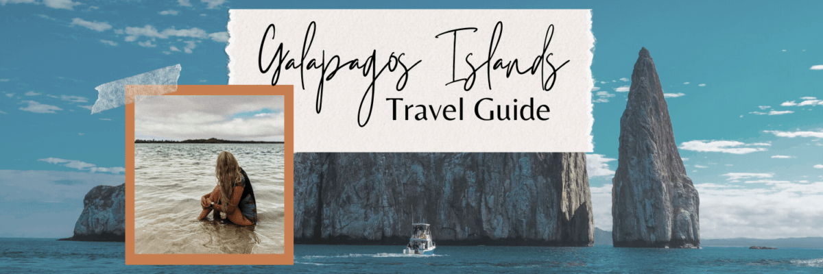 The Galapagos Islands Travel Guide - The Boho Traveller